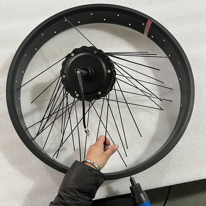 Fat Bike Electric Hub Motor Rear Wheel 20 Inch 4.0 Width, 48V 1000W ...