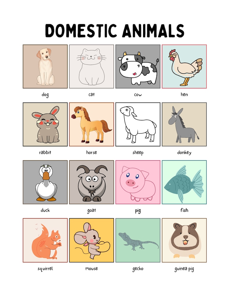 Educational Posters, Toddler Learning, Preschool, Color & Number ...