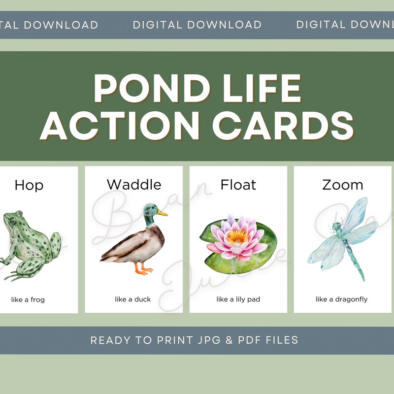 Pond Life Art - Etsy