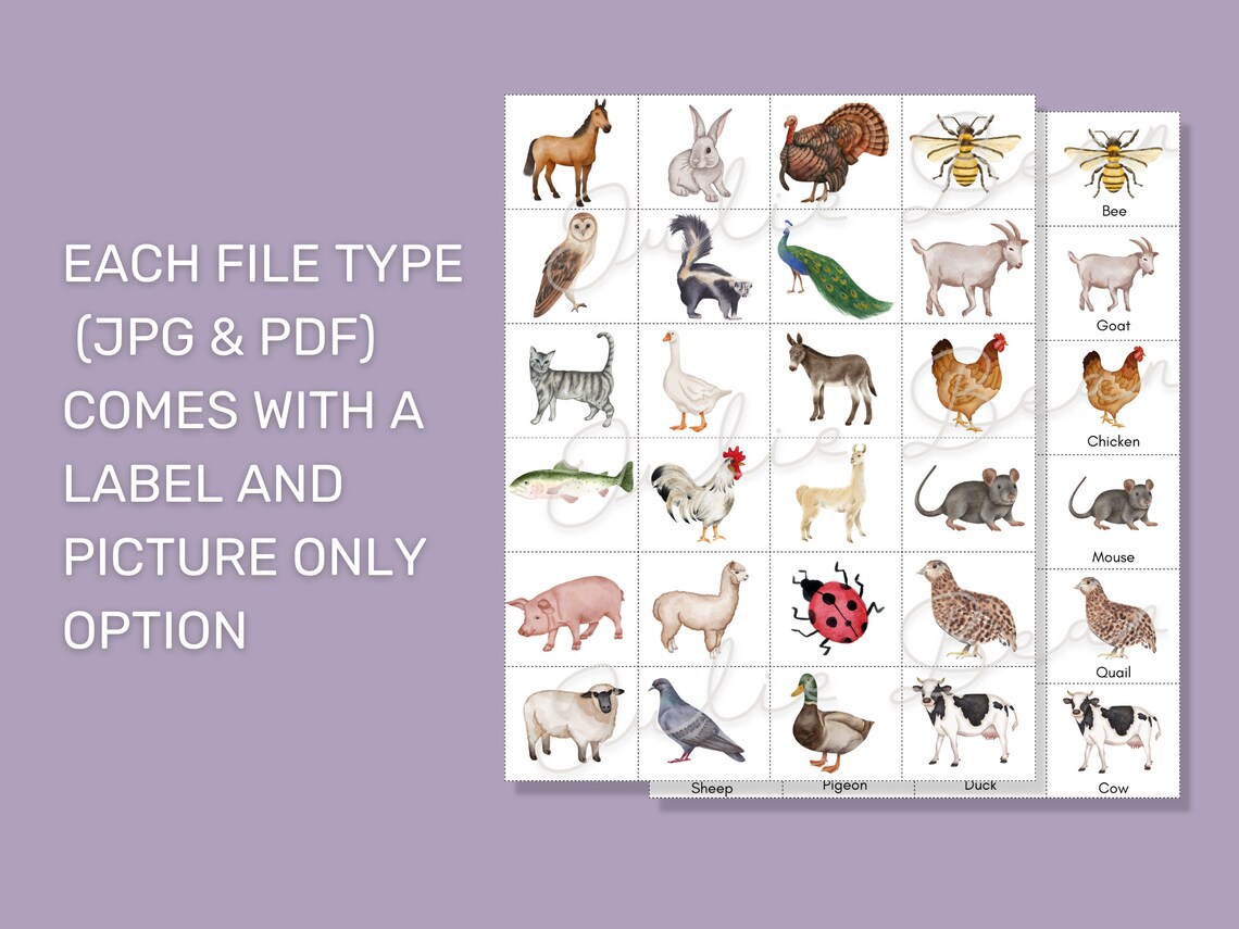 Farm Animal Matching Printable Memory Games Montessori Materials ...