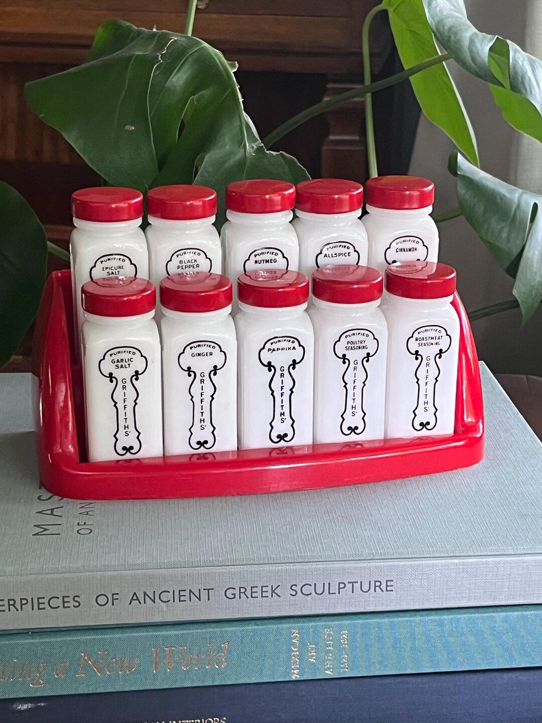 Griffiths Spice Rack, 10 Milk Glass Shaker Bottles and Stand/wall Mount ...