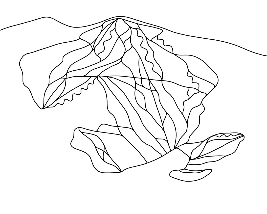 Mount Sunapee Resort Ski Map - Etsy