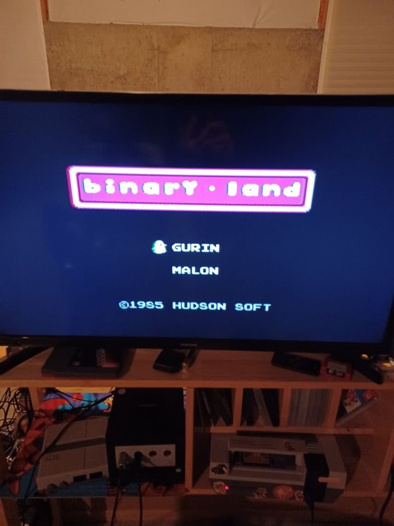 Binary Land Homebrew for Nintendo NES NEW - Etsy