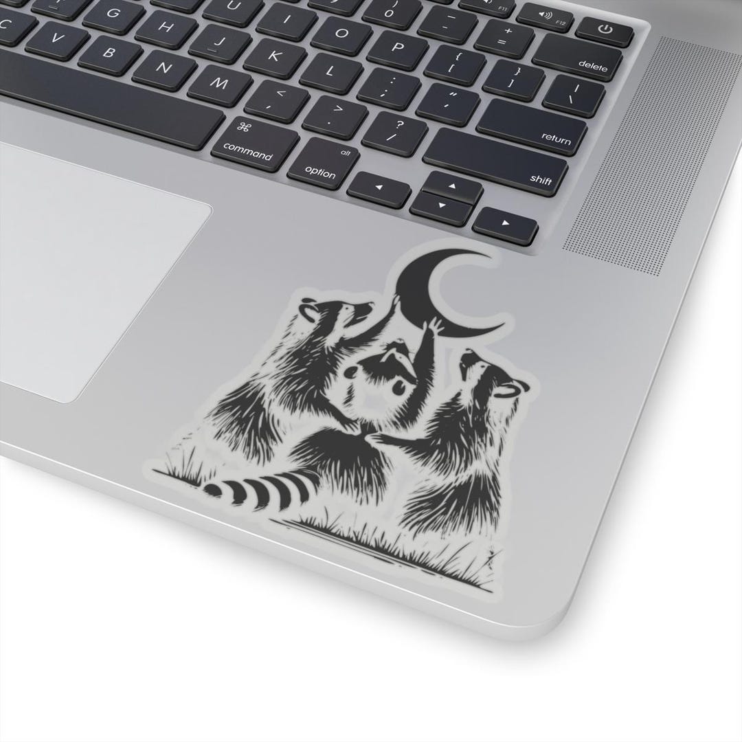 Funny Feral Raccoon Stickers / Animal Lover Gift / Laptop Decals ...