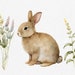 Watercolor Spring Clipart, Bunny Rabbit Planner Stickers, Cute Baby ...