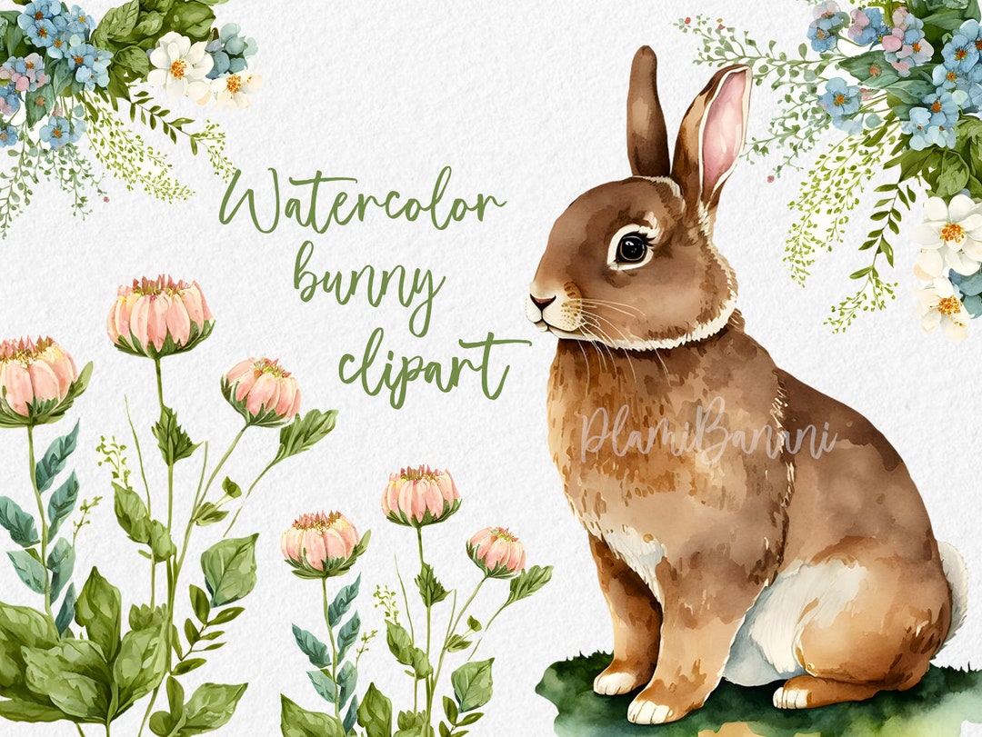 Bunny Rabbit Watercolor Clipart, Planner Stickers, Cute Baby Shower ...