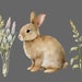 Watercolor Spring Clipart, Bunny Rabbit Planner Stickers, Cute Baby ...