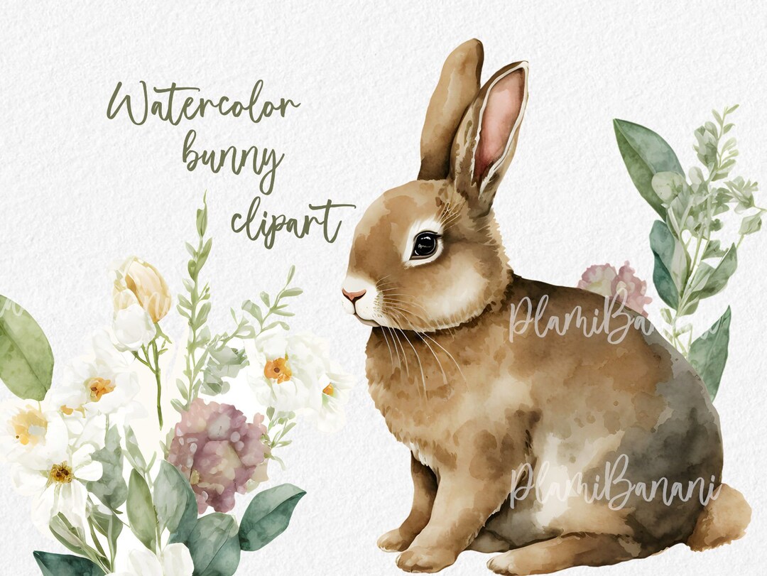 Bunny Rabbit Watercolor Clipart, Planner Stickers, Cute Baby Shower ...