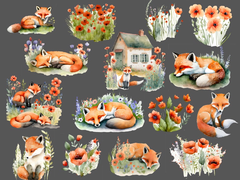 Poppy Watercolor Floral Clipart Fox Clipart Red Flower - Etsy