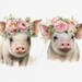 Cute Watercolour Baby Pigs Clipart Bundle With Flowers, Nursery Art ...