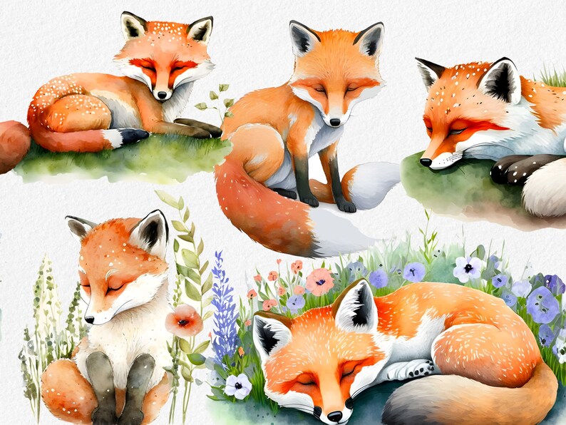 Poppy Watercolor Floral Clipart Fox Clipart Red Flower - Etsy