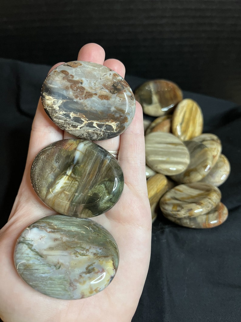 Petrified Wood Worry Stone, Thumb Stone, Natural Worry Stone ...