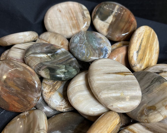 Petrified Wood Worry Stone, Thumb Stone, Natural Worry Stone ...