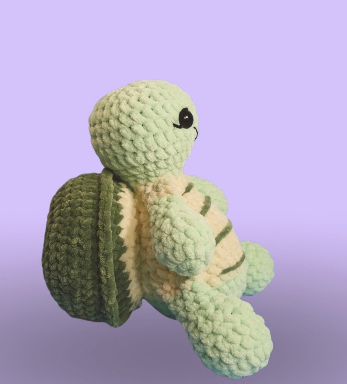 Sid the Baby Turtle Crochet Pattern - Digital File ONLY - Etsy