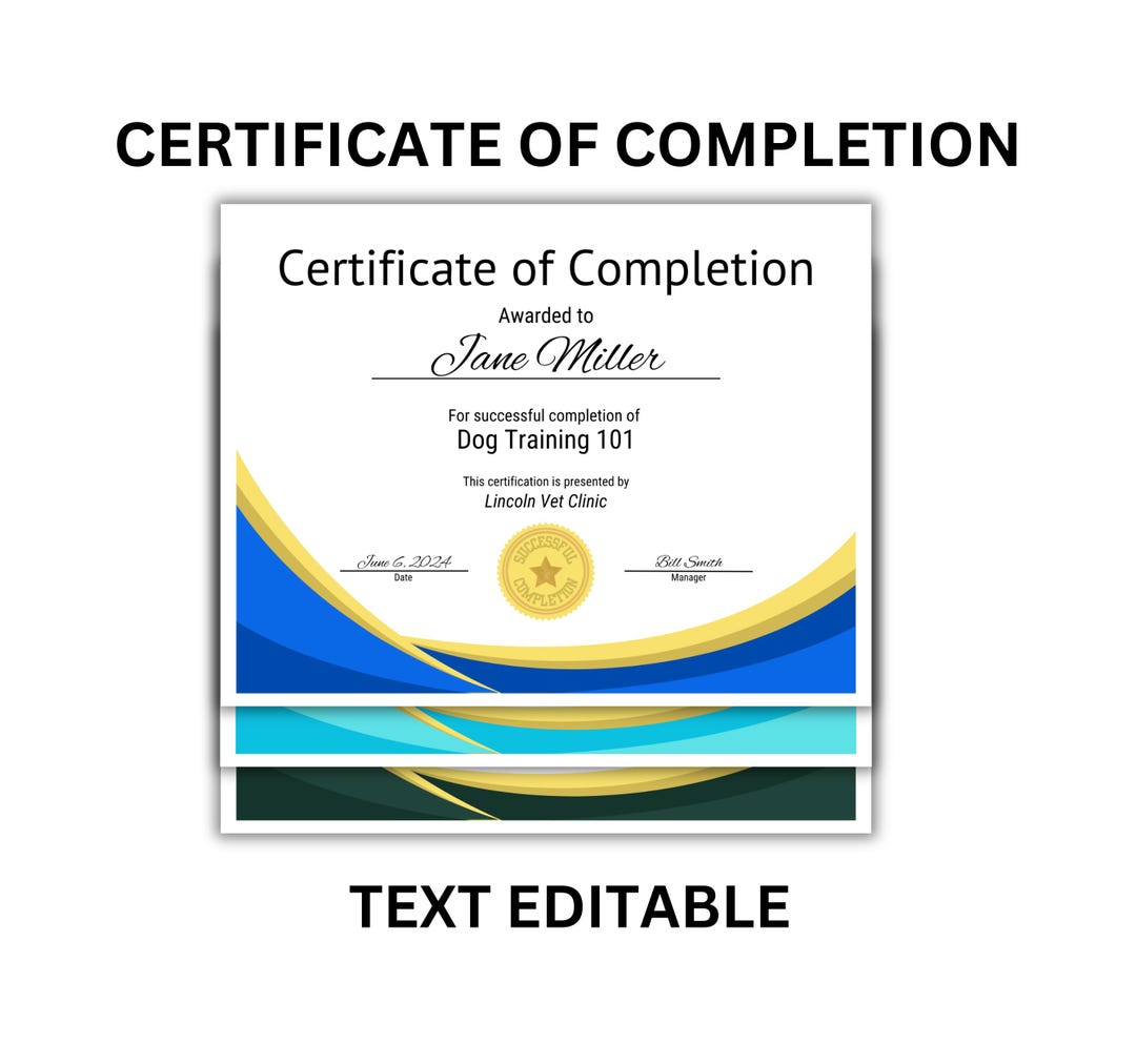 Certificate of Completion Professional Template | Customizable Training ...