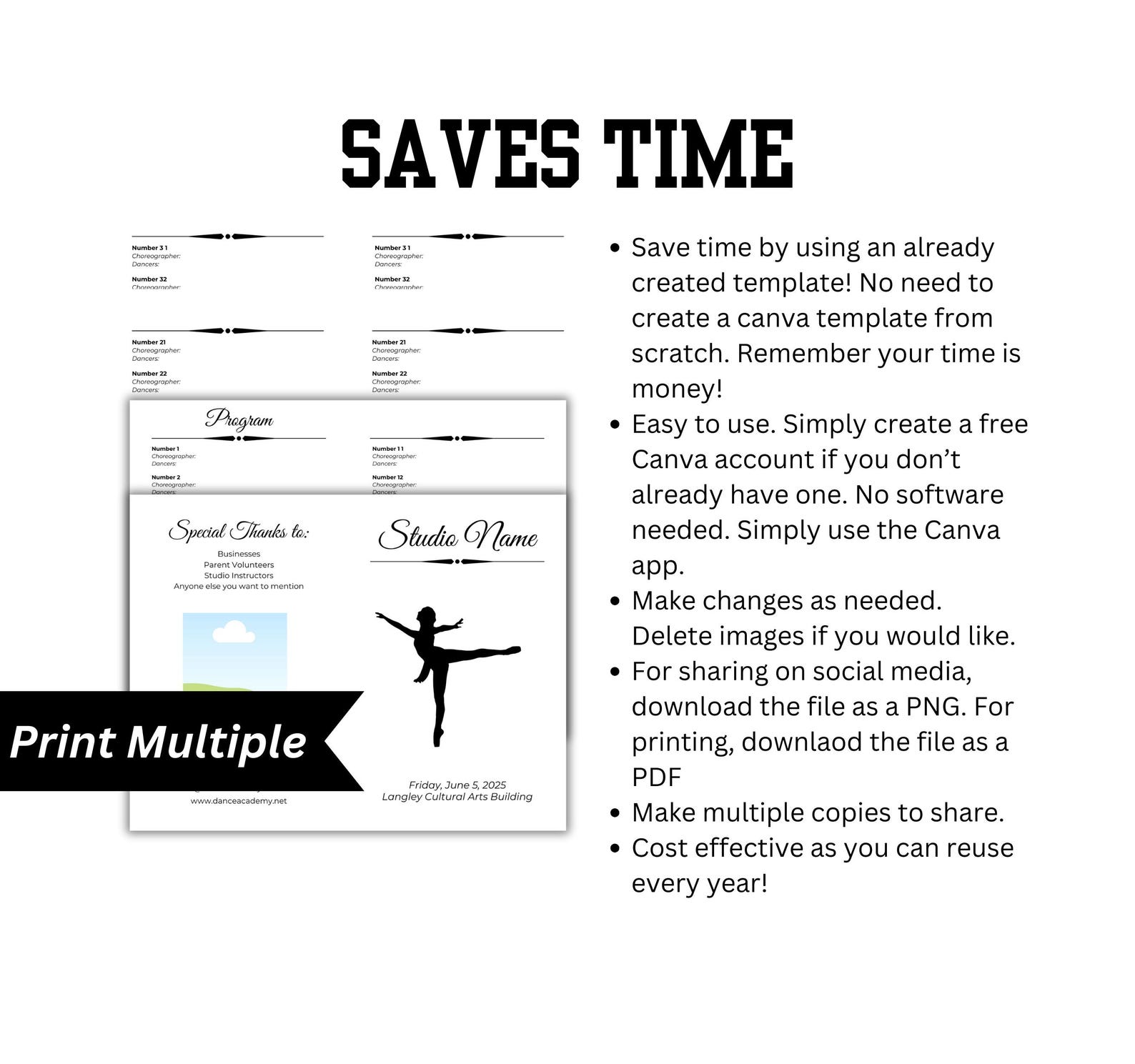 Dance Recital Program Template, Ballet Production, Great for Studios ...