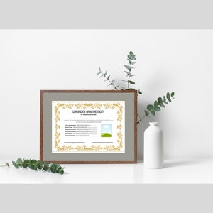 Artwork Certificate of Authenticity Template Digital Download ...