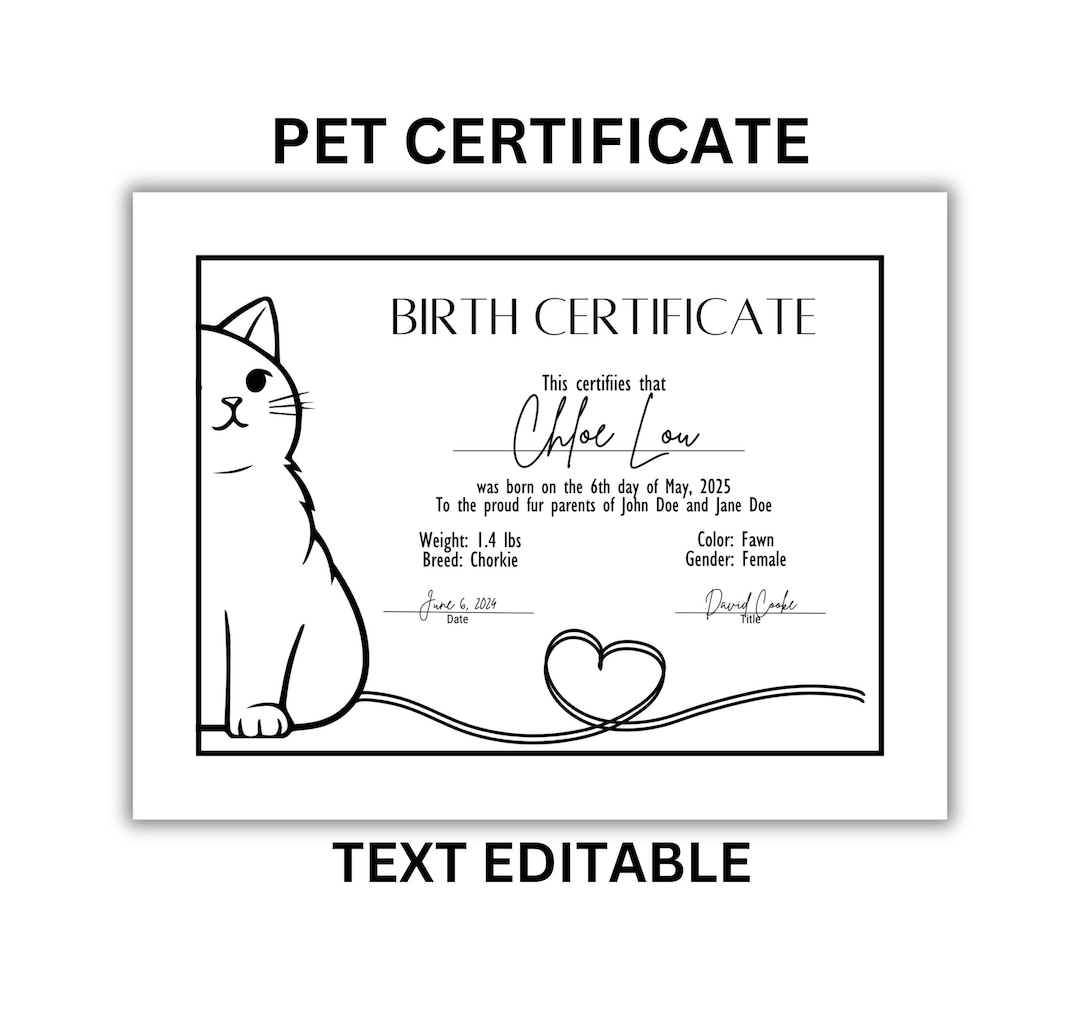 PET BIRTH Certificate: Celebrate Your Furry Friend's Arrival! Kitten ...