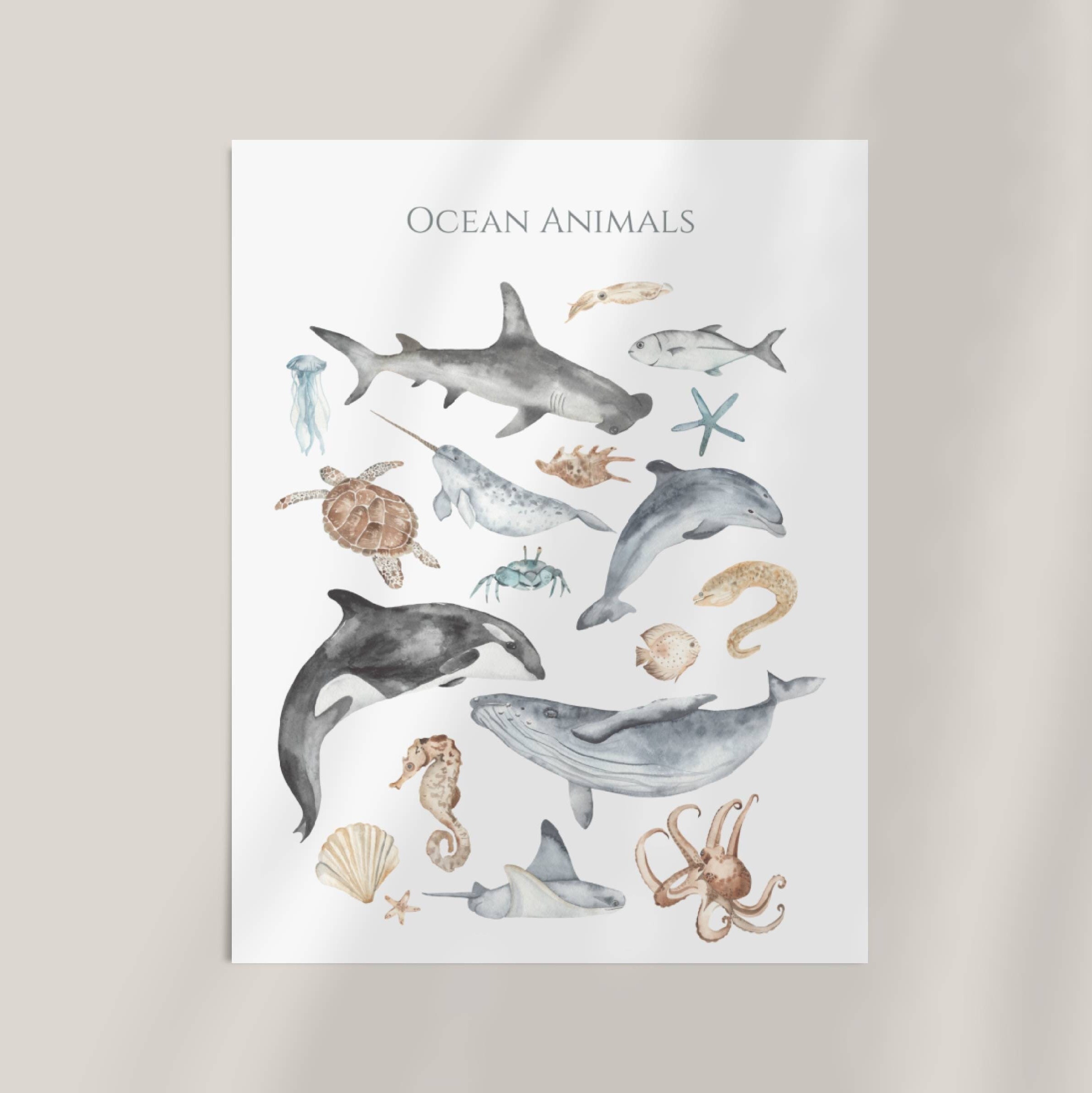 Kids Ocean Animals Print Whale Print Shark Wall Art Beach - Etsy