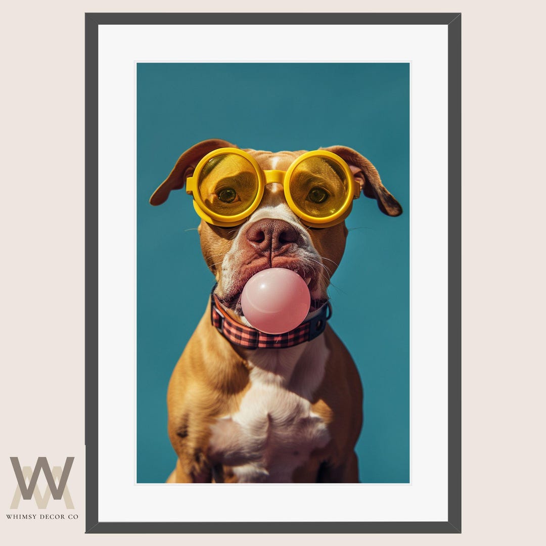 Bubblegum Blowing Animals Art, Bubble Blowing Animals, Funny Animal ...