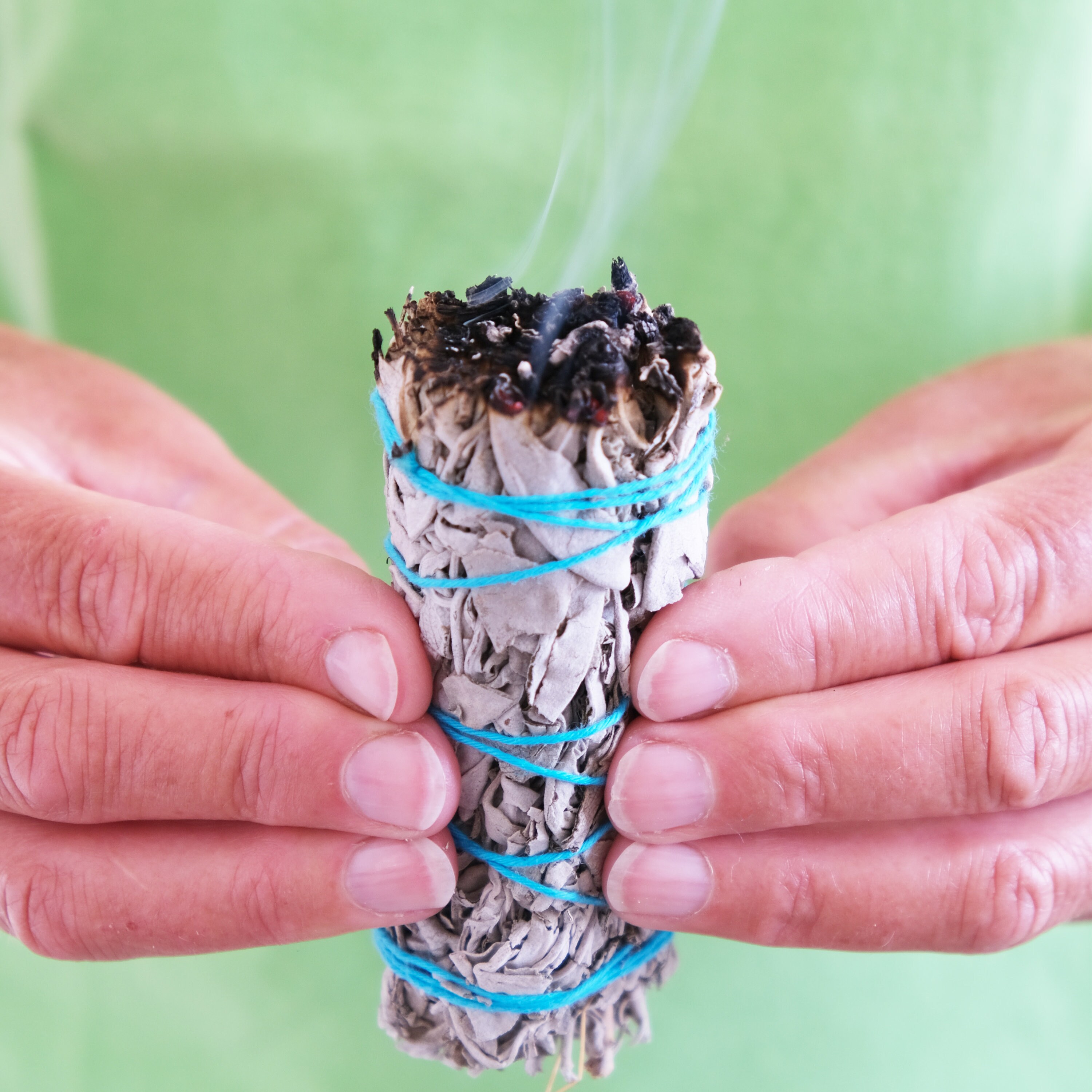 White Sage Salvia Apiana Fumigation Box Native American - Etsy