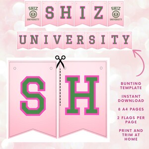 Shiz University Wicked-inspired Printable Birthday Bunting Banner ...