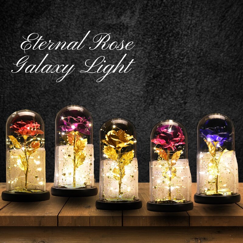 Rose in Glass Dome - Etsy