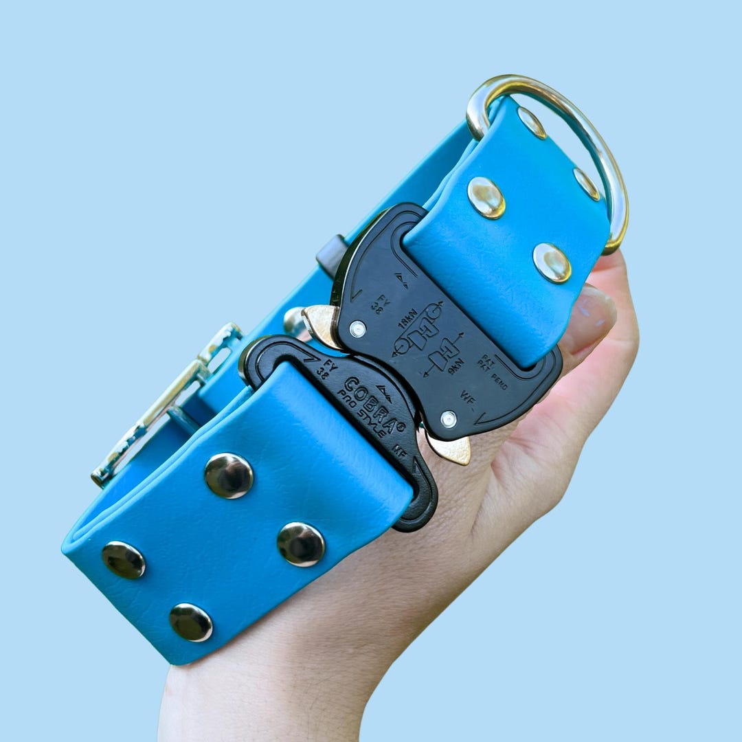 Lagune Biothane Dog Collar: Cobra PRO Buckle, Waterproof Pet Gear - Etsy