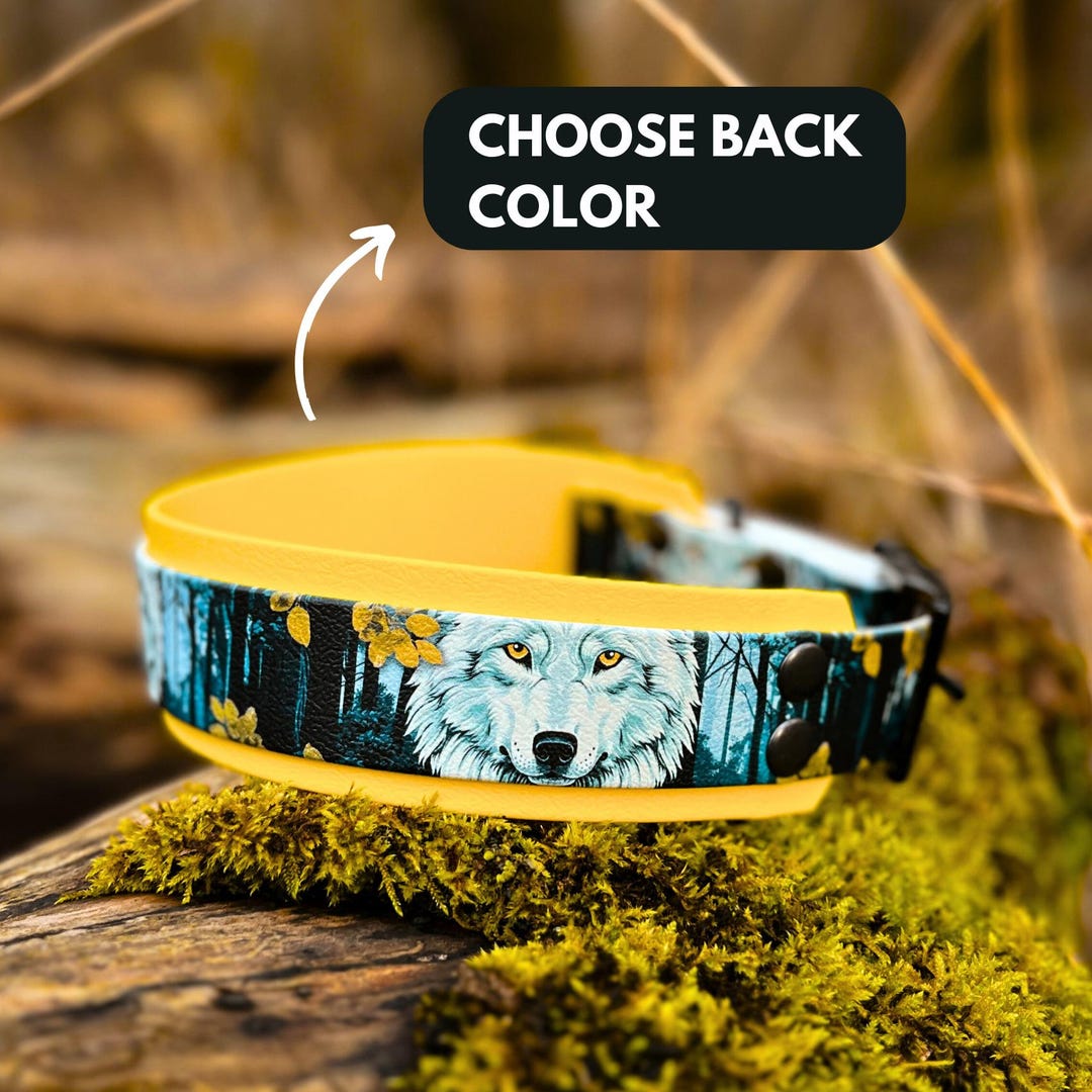 UV Print Custom Biothane Dog Collar, Double Layer Wolf Collar W/ Belt ...