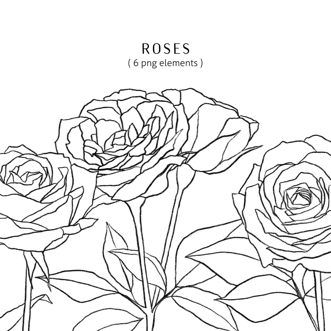 Hand-drawn Clip Art Roses, Flower Clipart, Floral Illustration for ...