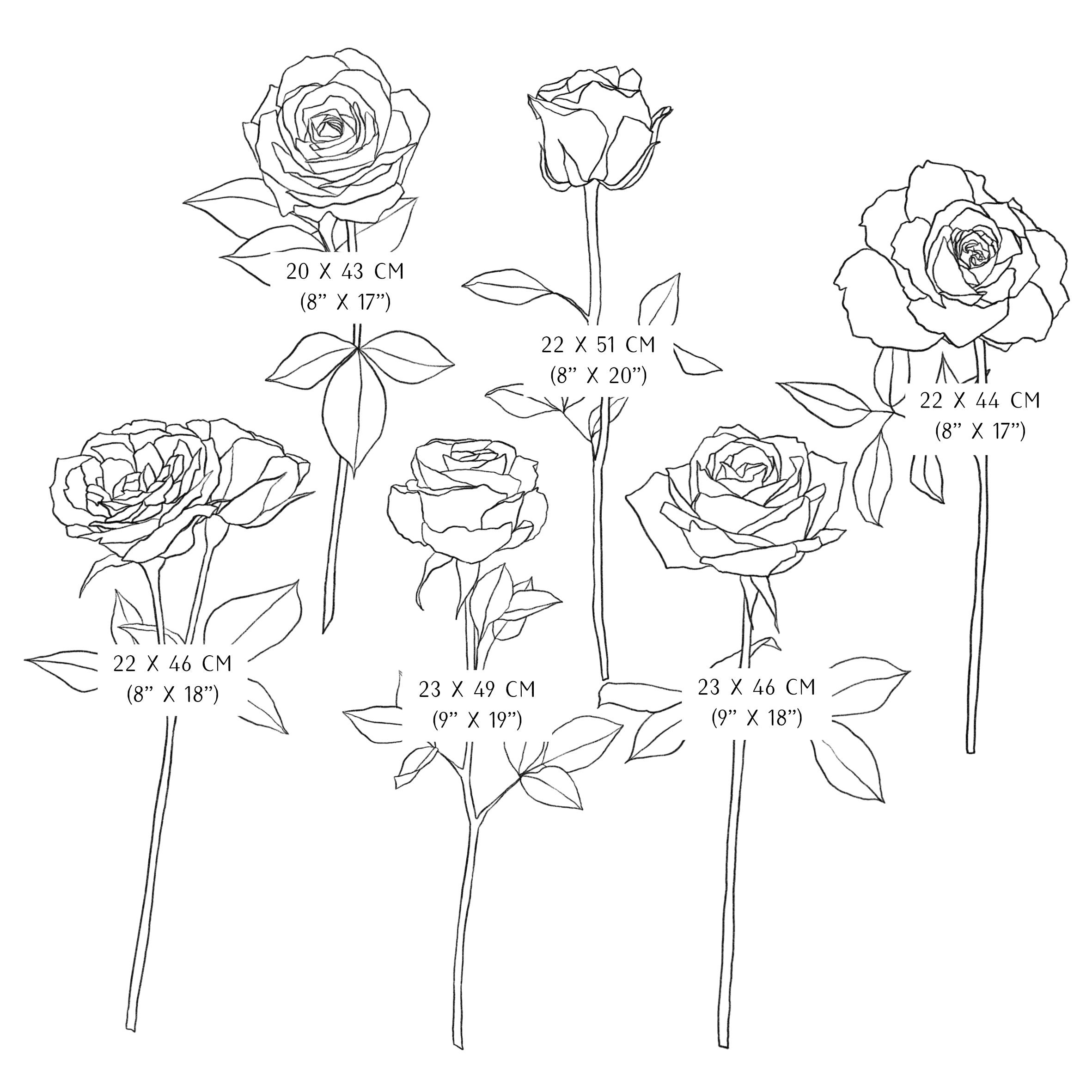 Hand-drawn Clip Art Roses, Flower Clipart, Floral Illustration for ...