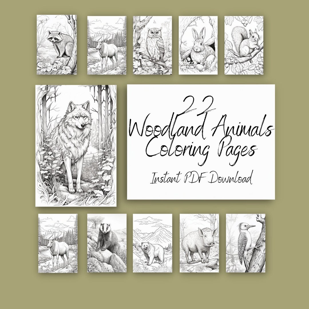 Woodland Animals Coloring Pages for Adults or Children - Etsy