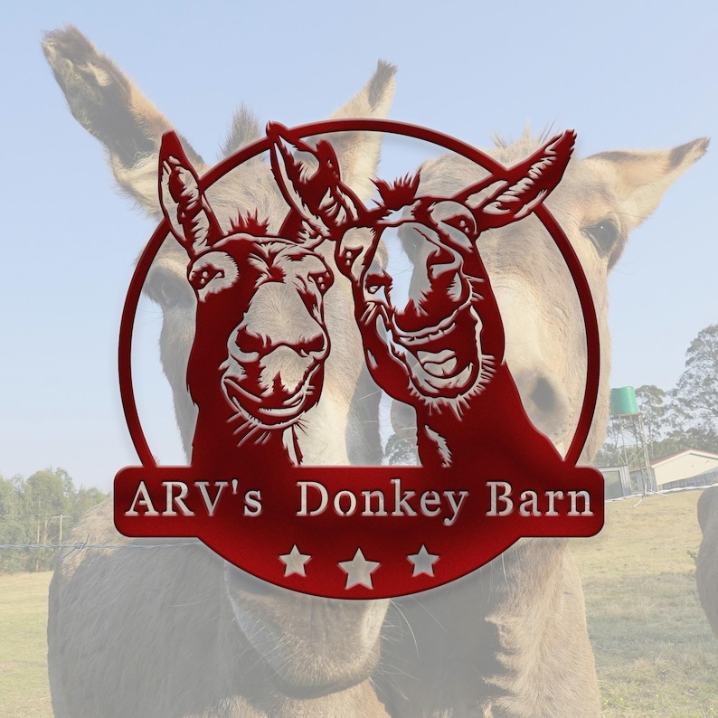 Custom Donkey Name Sign, Personalized Donkey Family Name Sign, Donkeys ...