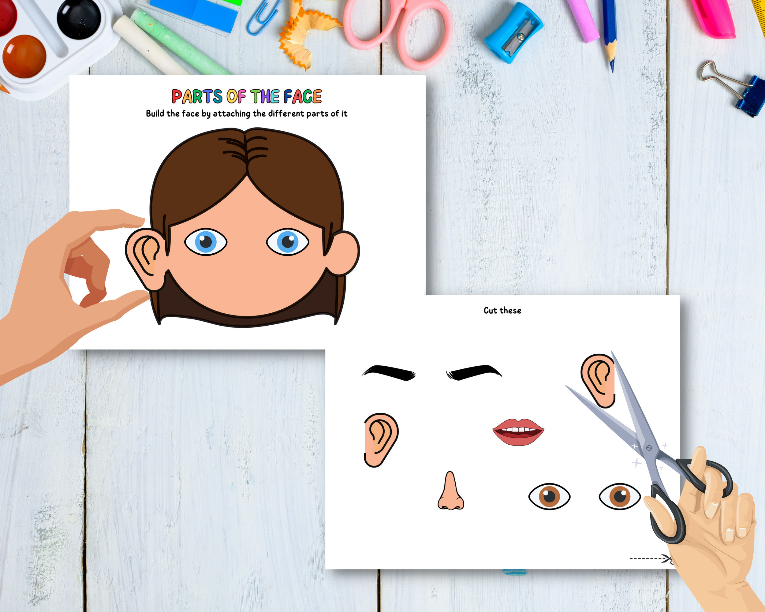 Parts of the Face Activity for Toddlers Parts of the Human Face ...