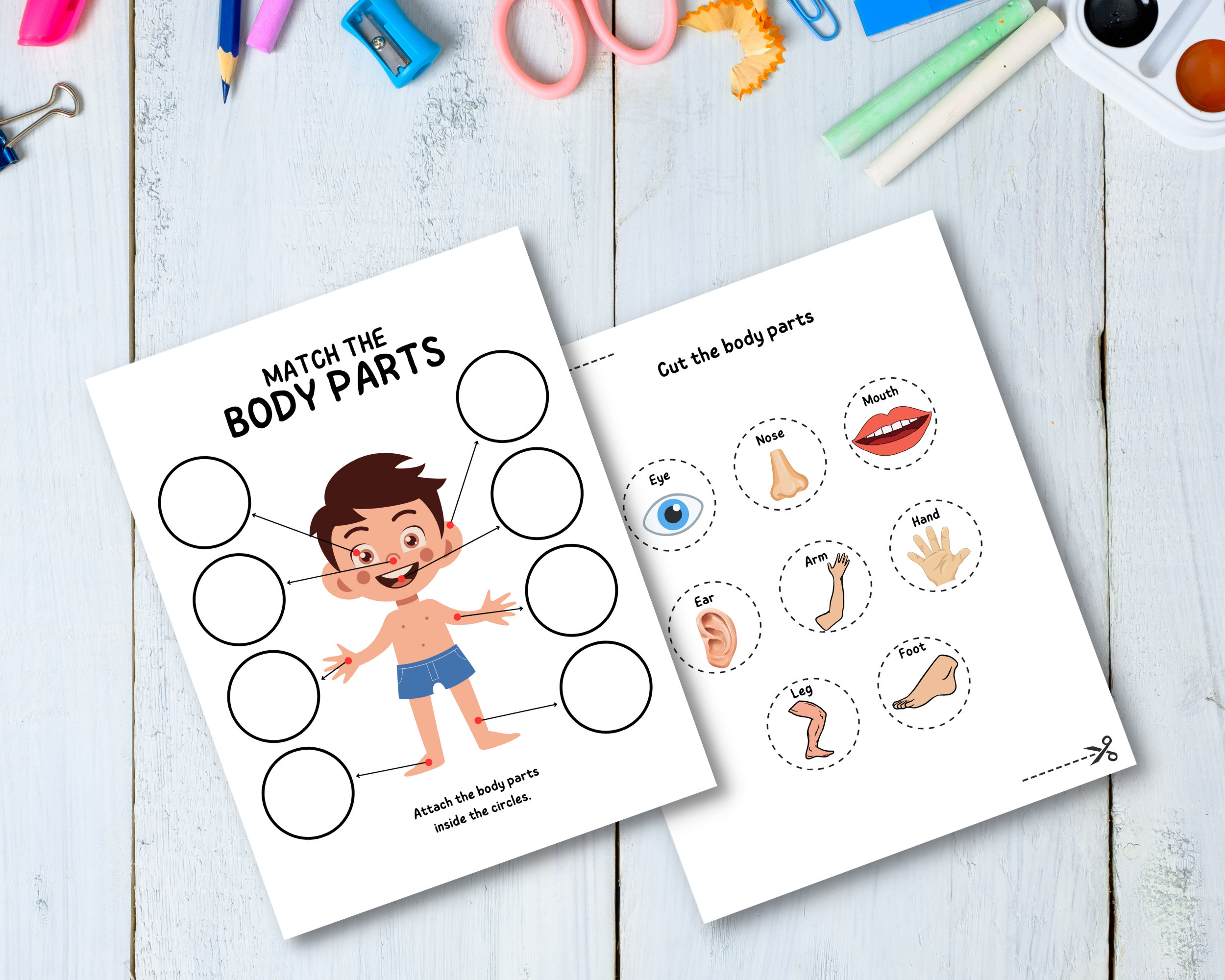 Kids Activity Parts of the Body Basic Body Parts Poster Toddler ...