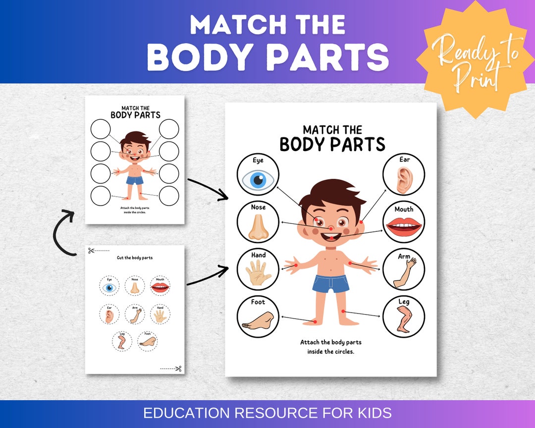 Kids Activity Parts of the Body Basic Body Parts Poster Toddler ...