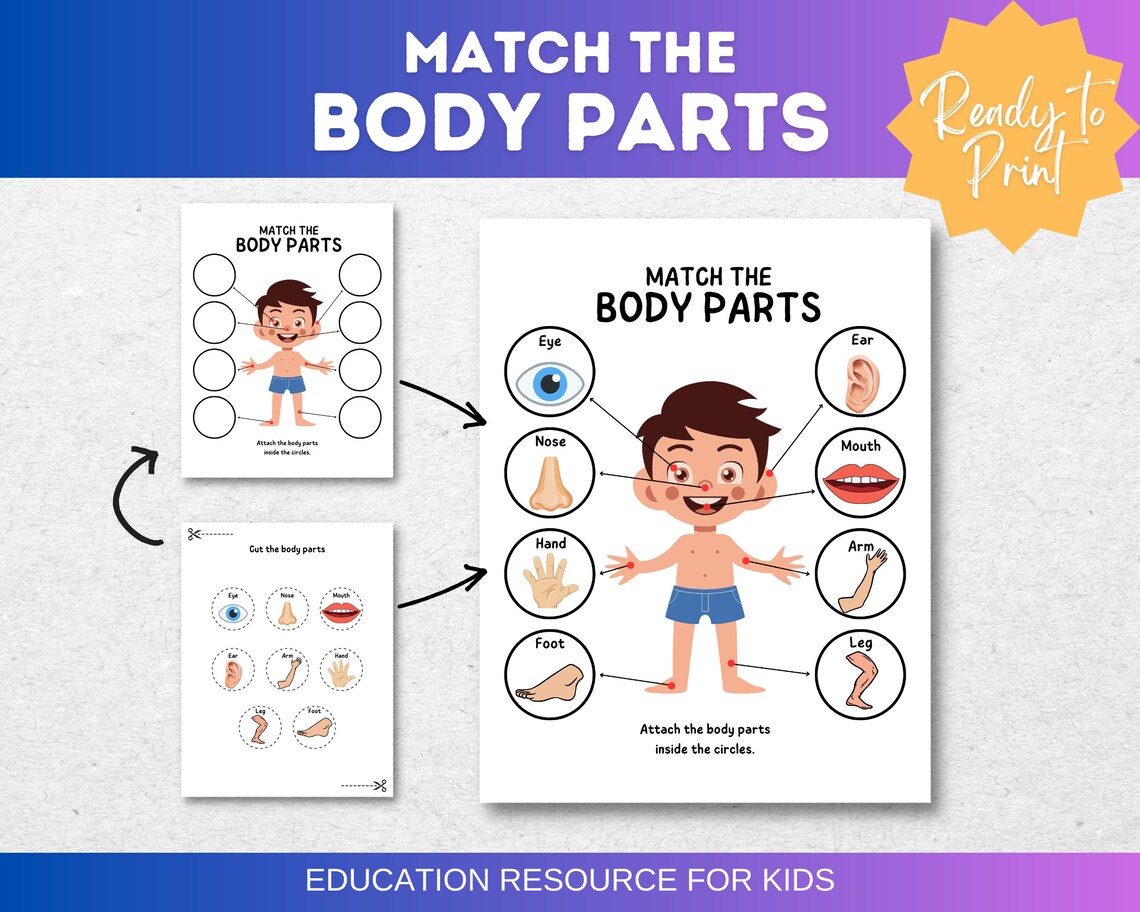 Kids Activity Parts of the Body Basic Body Parts Poster Toddler ...