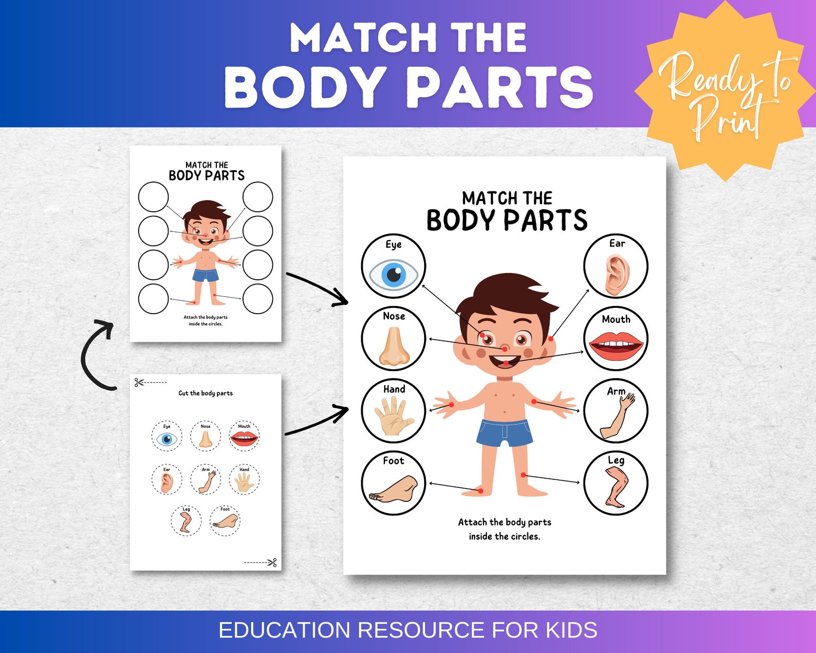 Kids Activity Parts of the Body Basic Body Parts Poster Toddler ...