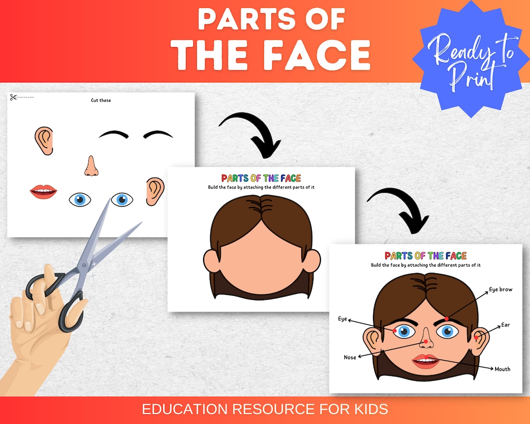 Parts of the Face Activity for Toddlers Parts of the Human Face ...