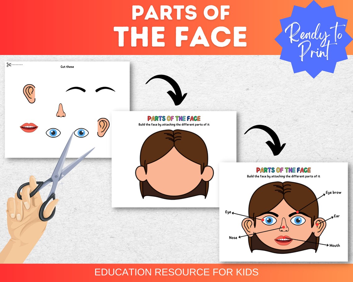 Parts of the Face Activity for Toddlers Parts of the Human Face ...