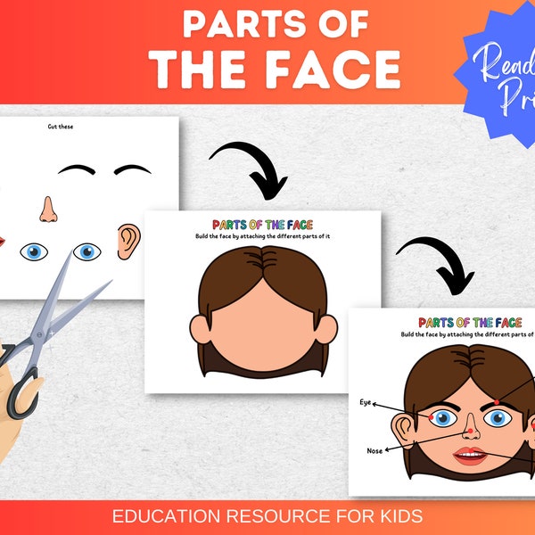 Face Parts Activity - Etsy