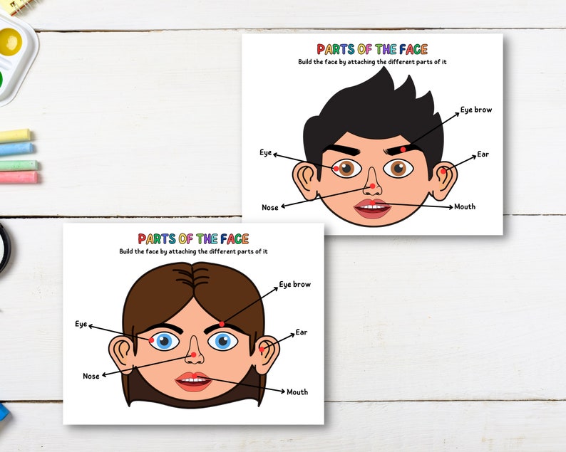 Parts of the Face Activity for Toddlers Parts of the Human Face ...