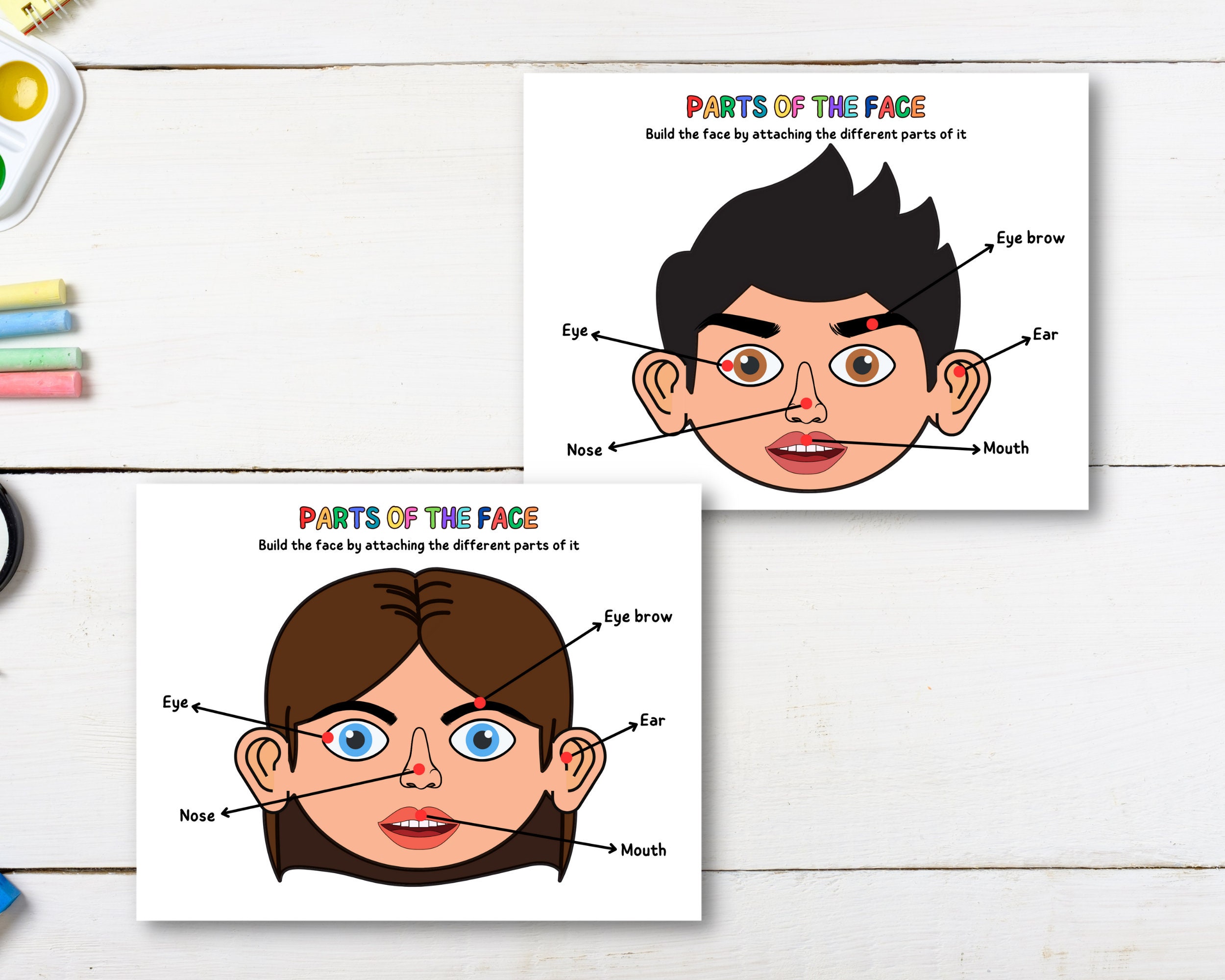 Parts of the Face Activity for Toddlers Parts of the Human Face ...