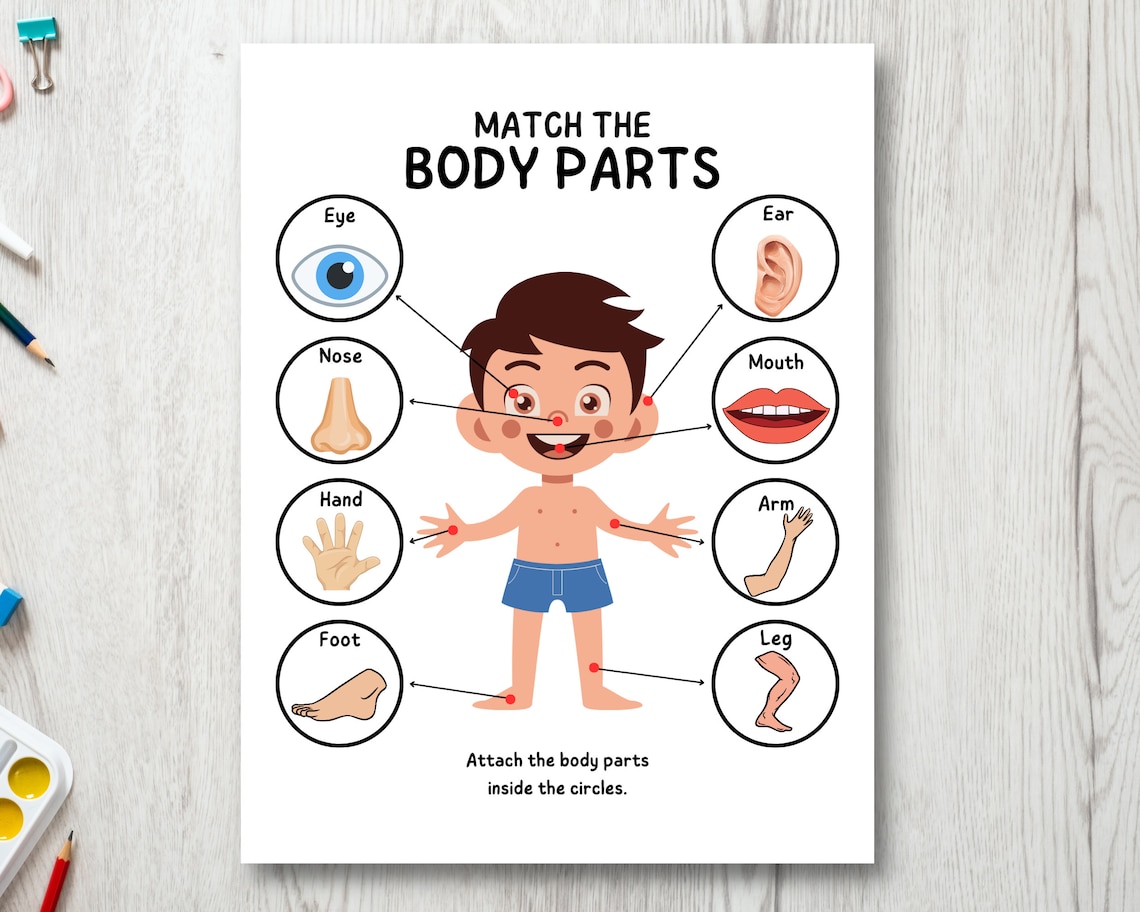 Kids Activity Parts of the Body Basic Body Parts Poster Toddler ...