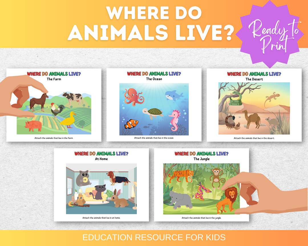 Animals Activity Sheets Kids Where Do Animals Live Toddler Activities ...