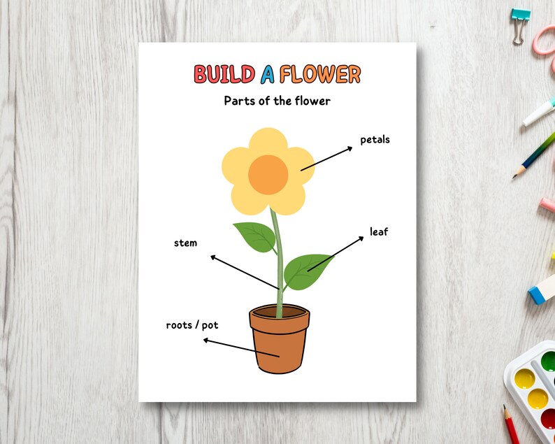 Toddler Activities Printable, Build a Flower, Printable Craft, Learning ...