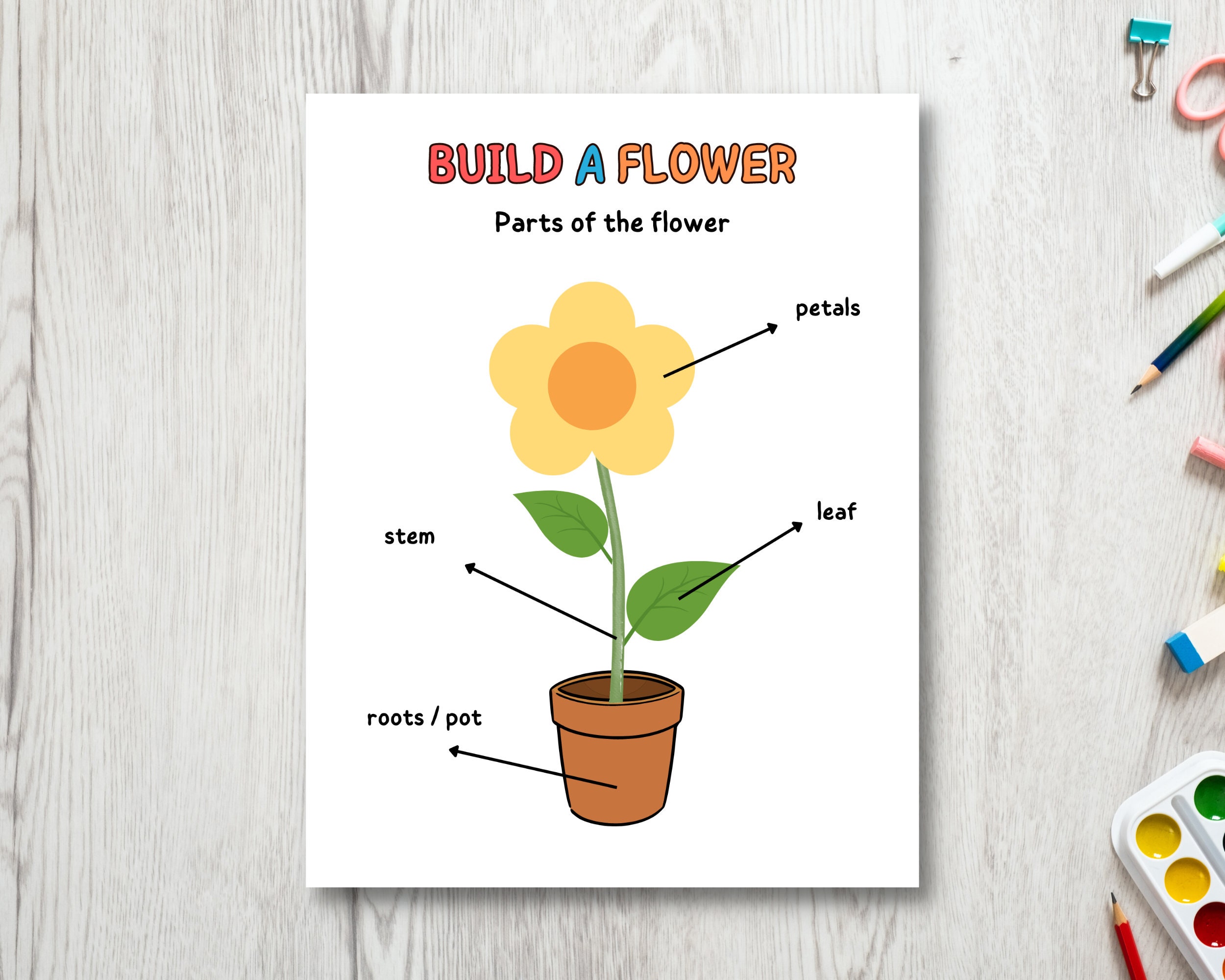 Toddler Activities Printable, Build a Flower, Printable Craft, Learning ...
