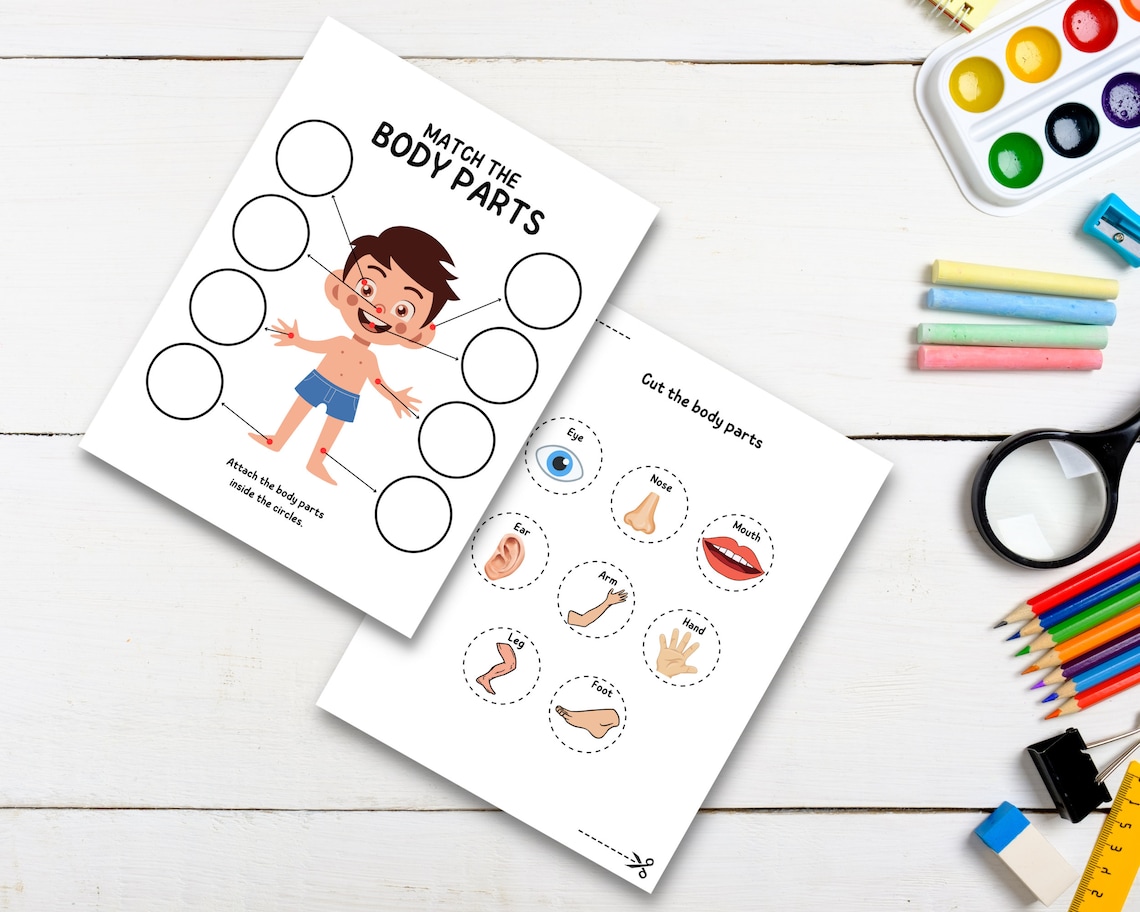 Kids Activity Parts of the Body Basic Body Parts Poster Toddler ...