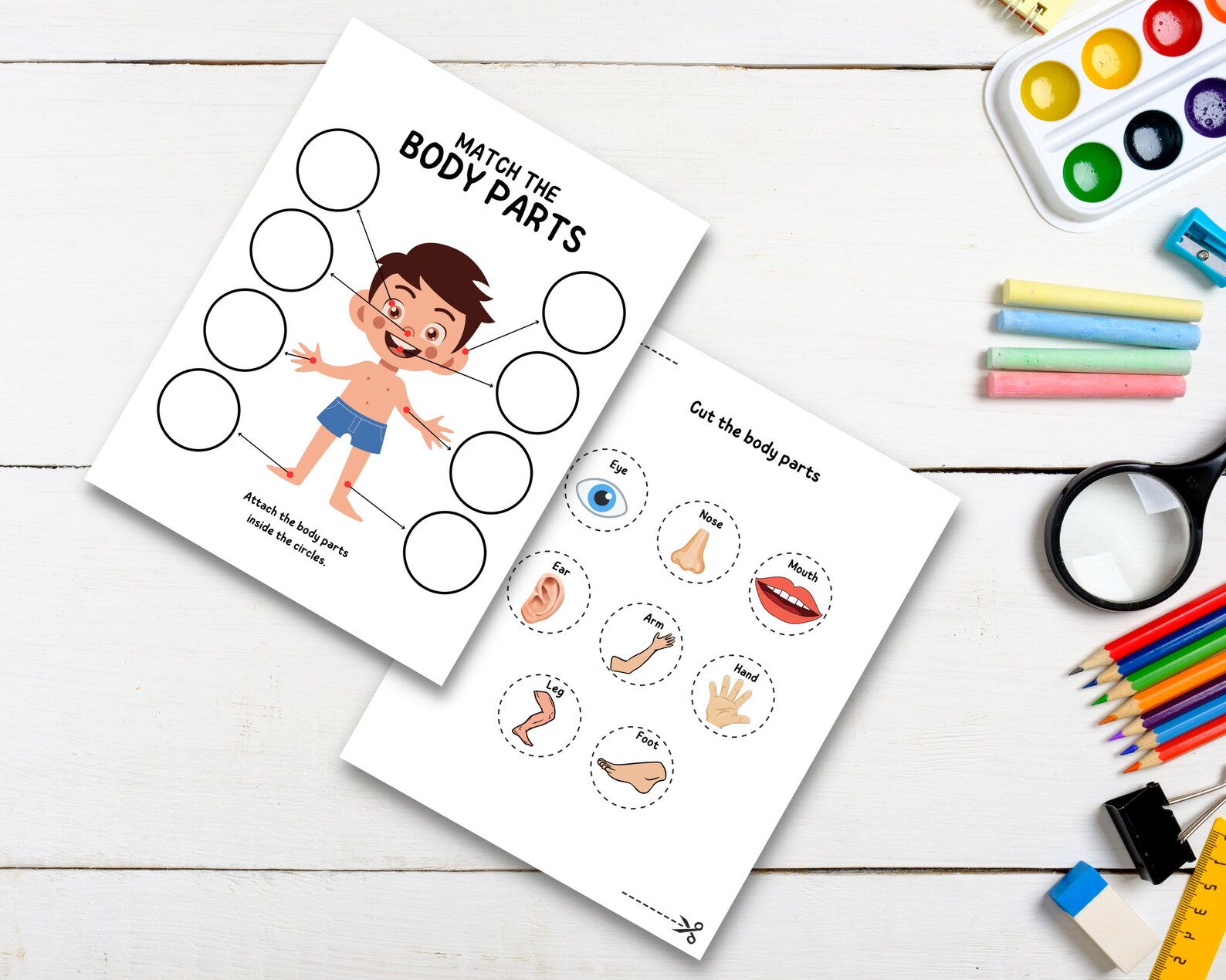 Kids Activity Parts of the Body Basic Body Parts Poster Toddler ...