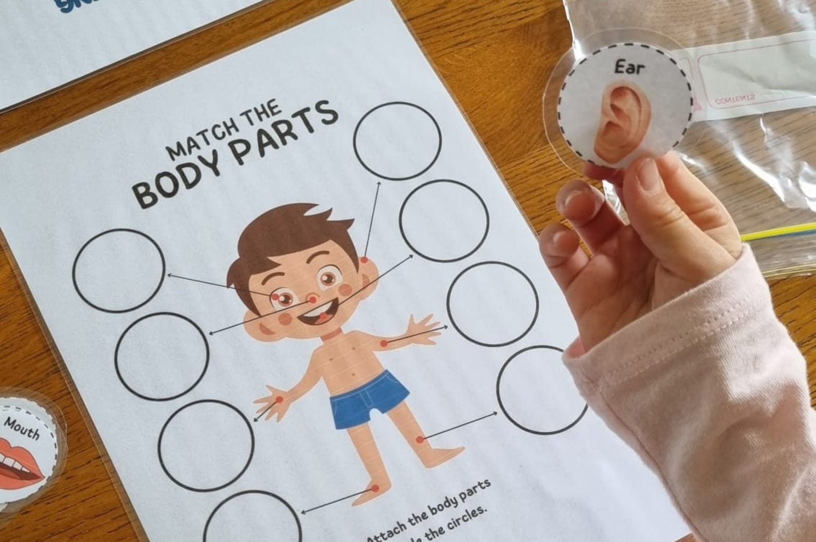 Kids Activity Parts of the Body Basic Body Parts Poster Toddler ...